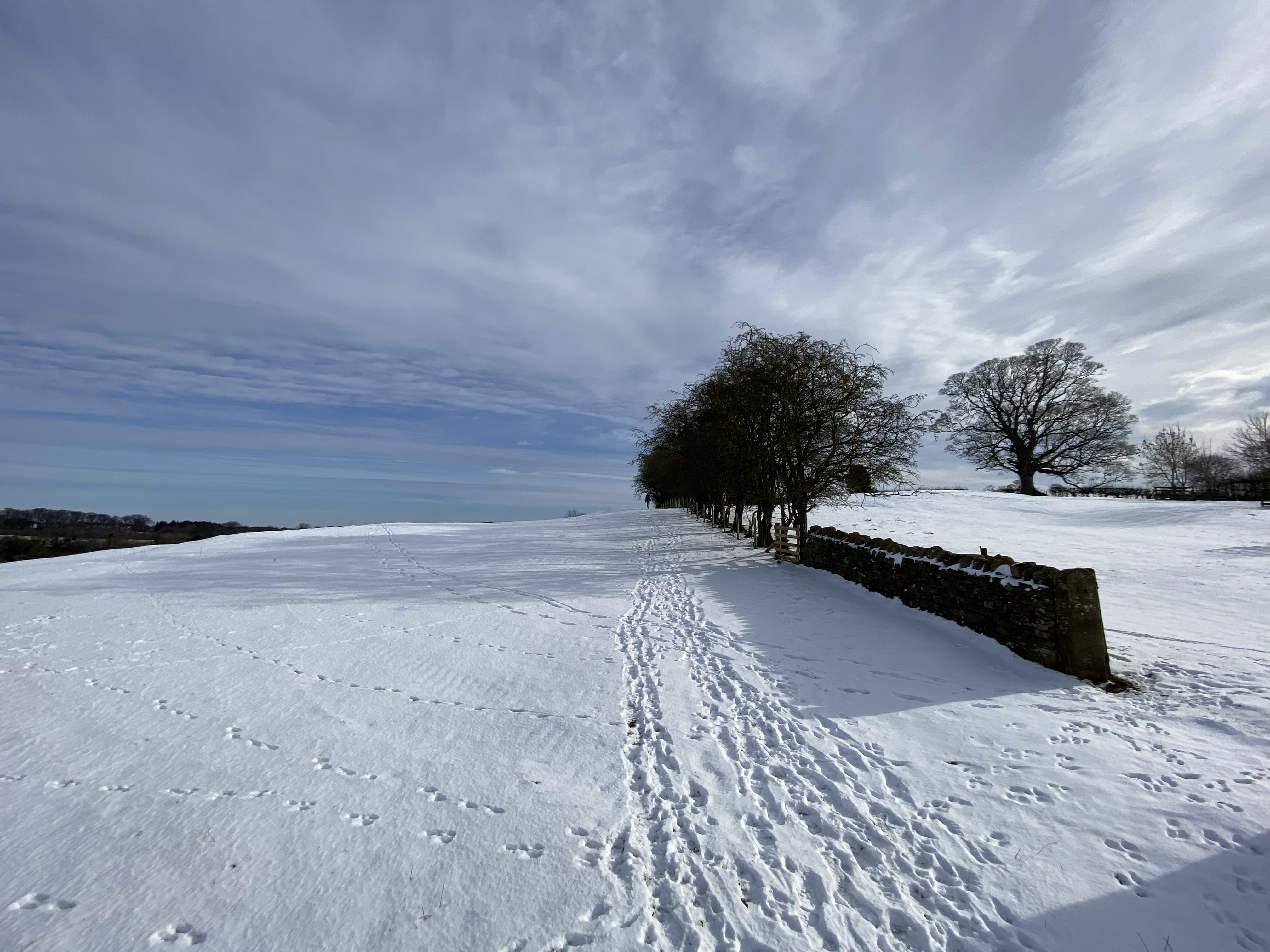 Barney Rumble – DIY Ultras